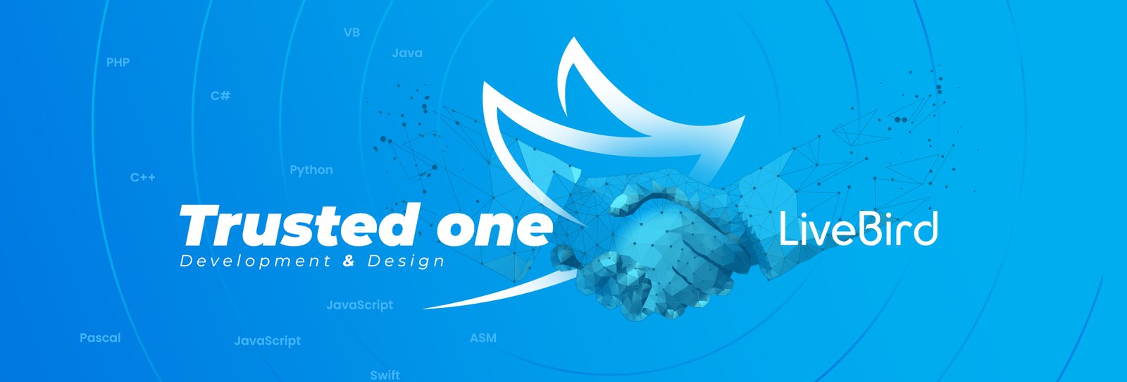 Web & App Development Company | LiveBird Technologies